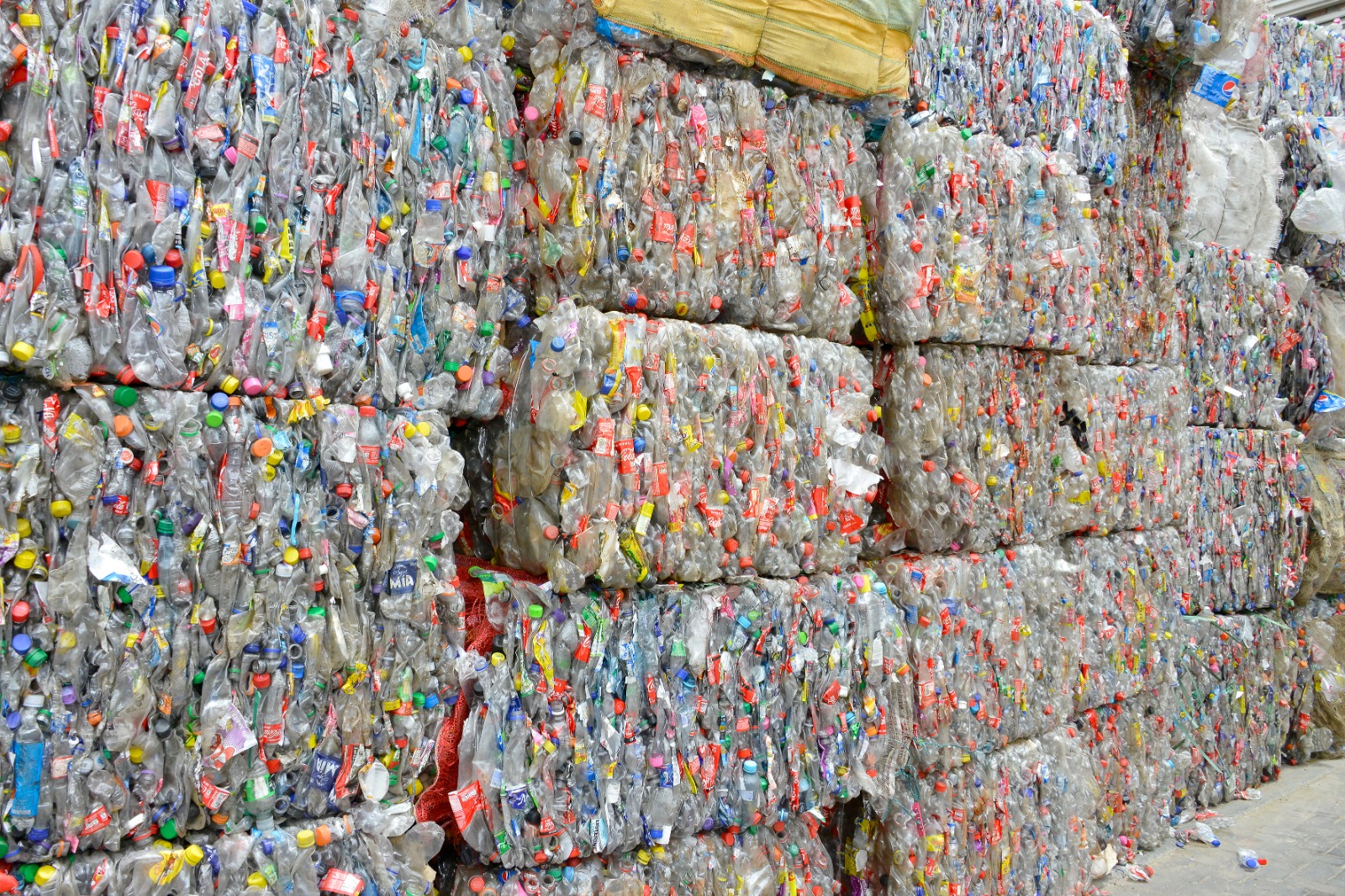 ¿PARA QUÉ RECICLAR PET? - Gestión Solidaria